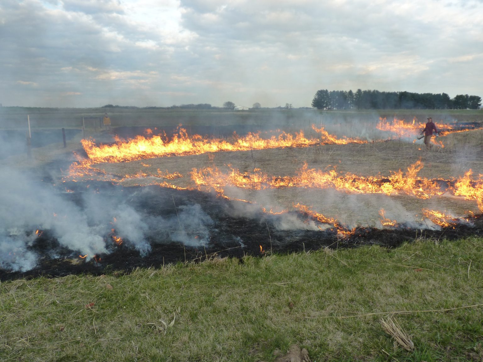 Soil and Environmental Sciences Analysis Lab – College of Agricultural & Life Sciences